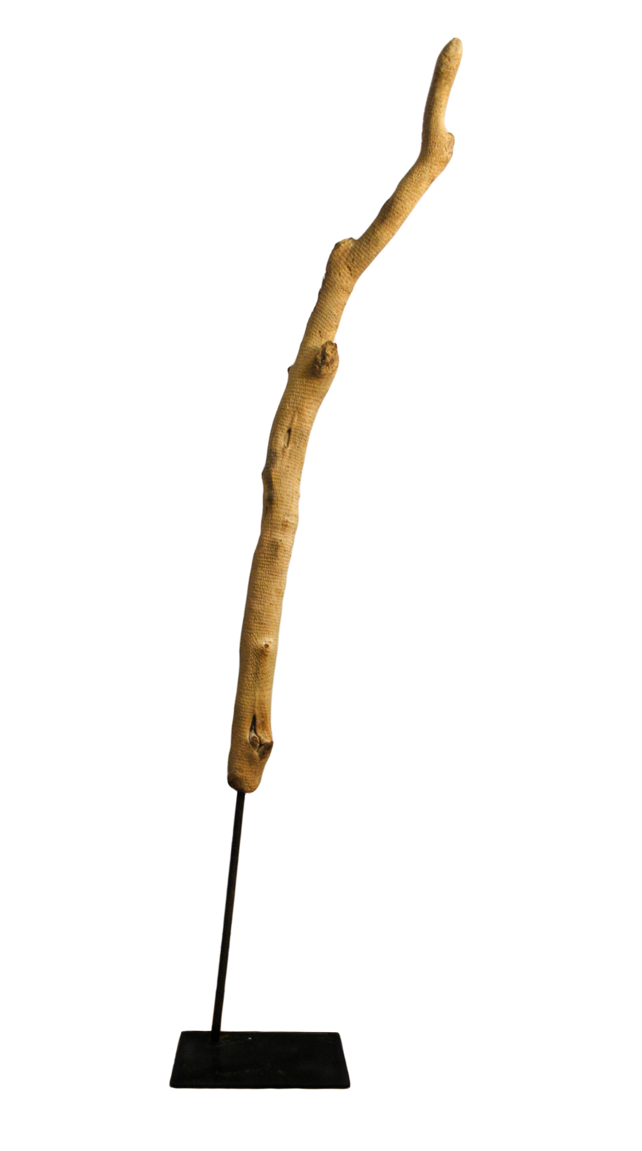 Up, Down, Strange, Charm, Bottom and Top - J. E. Simpson