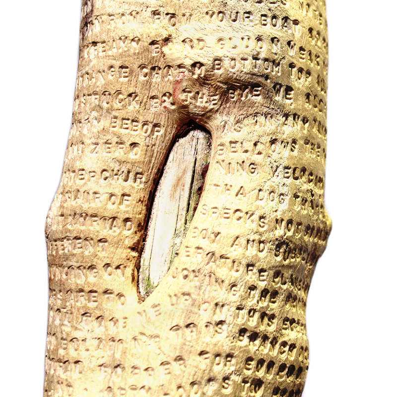 Up, Down, Strange, Charm, Bottom and Top - J. E. Simpson