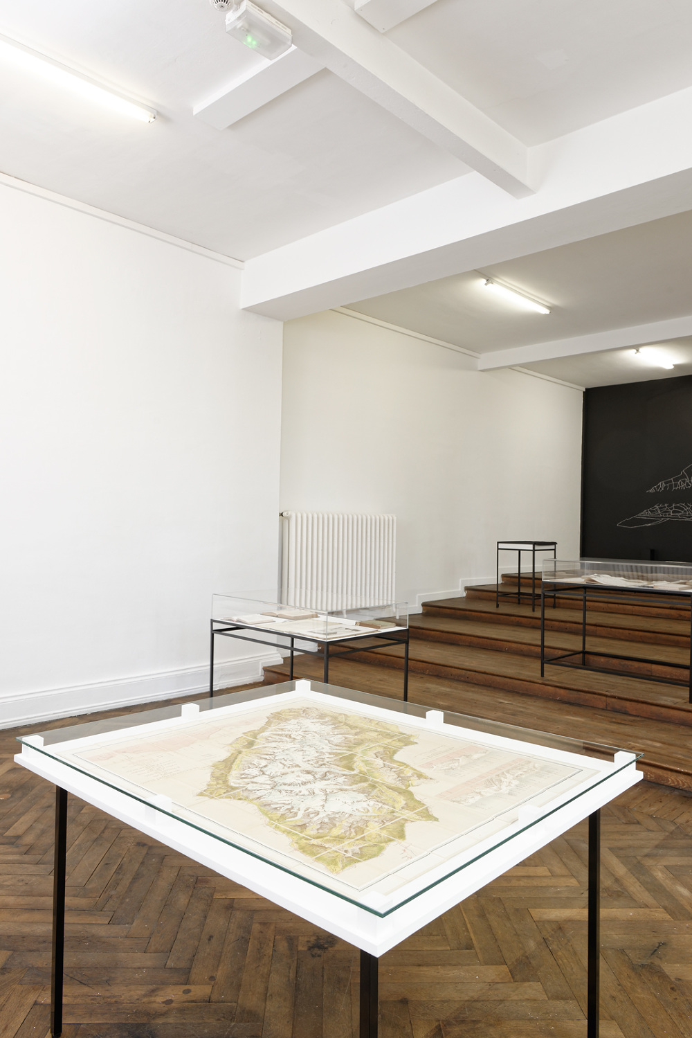 Irene Kopelman: On Glaciers and Avalanches - Juan Canela