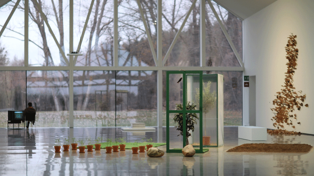 Aquí eran los ojos los que hablaban - Juan Canela