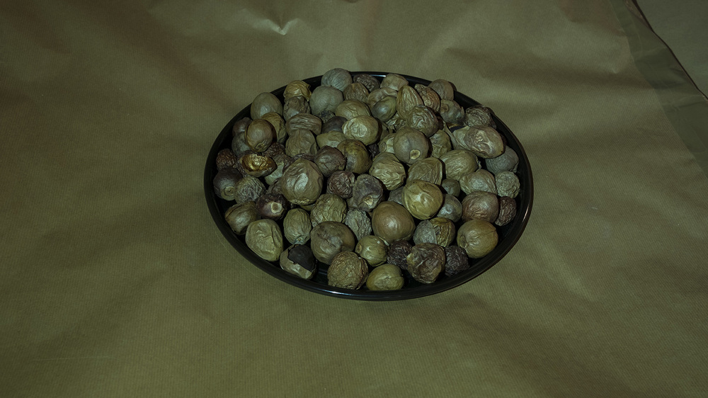 Alejandra Avilés: El ahora es la noche - Juan Canela