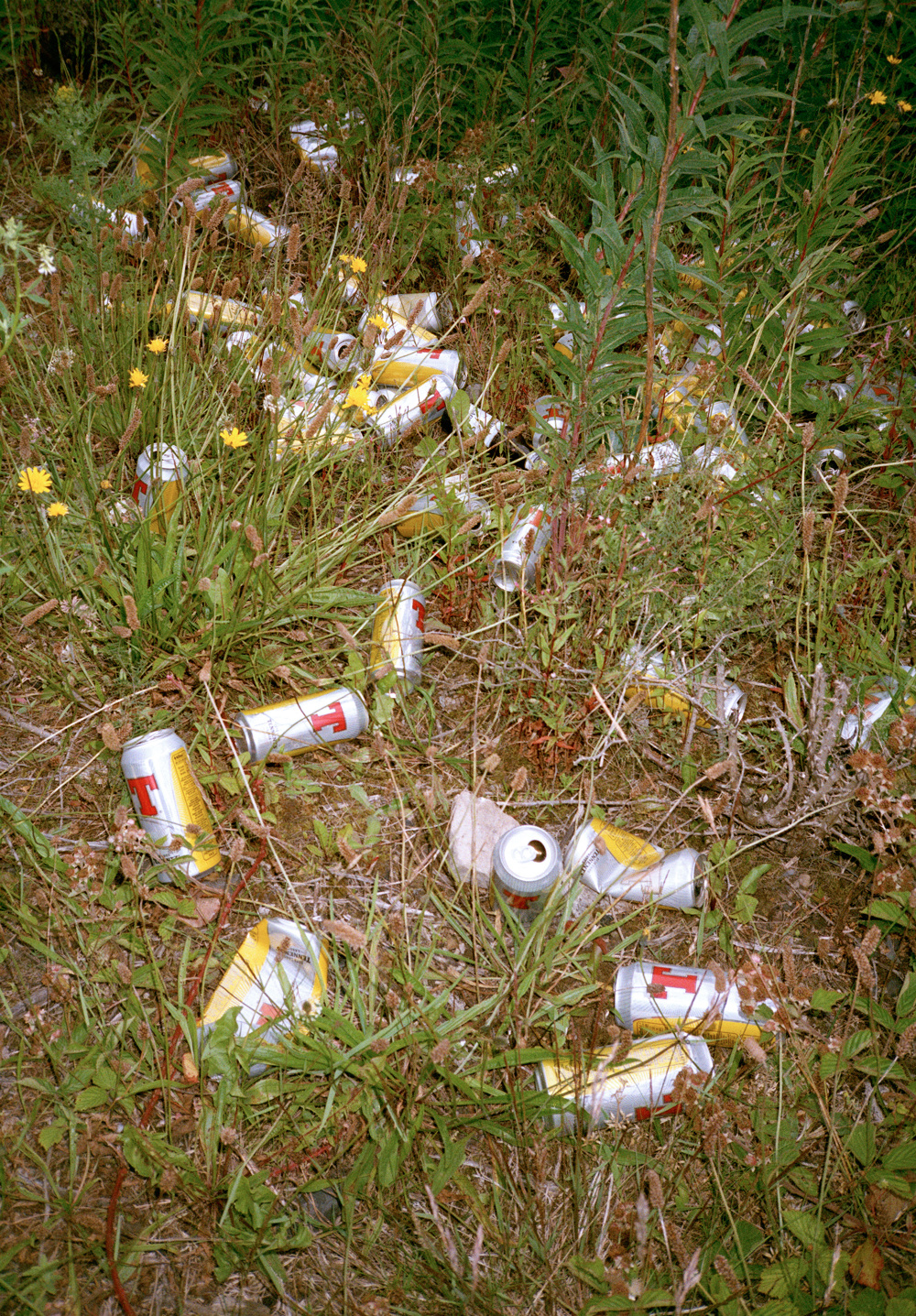 HASTE YE BACK - Ka Ki Wong