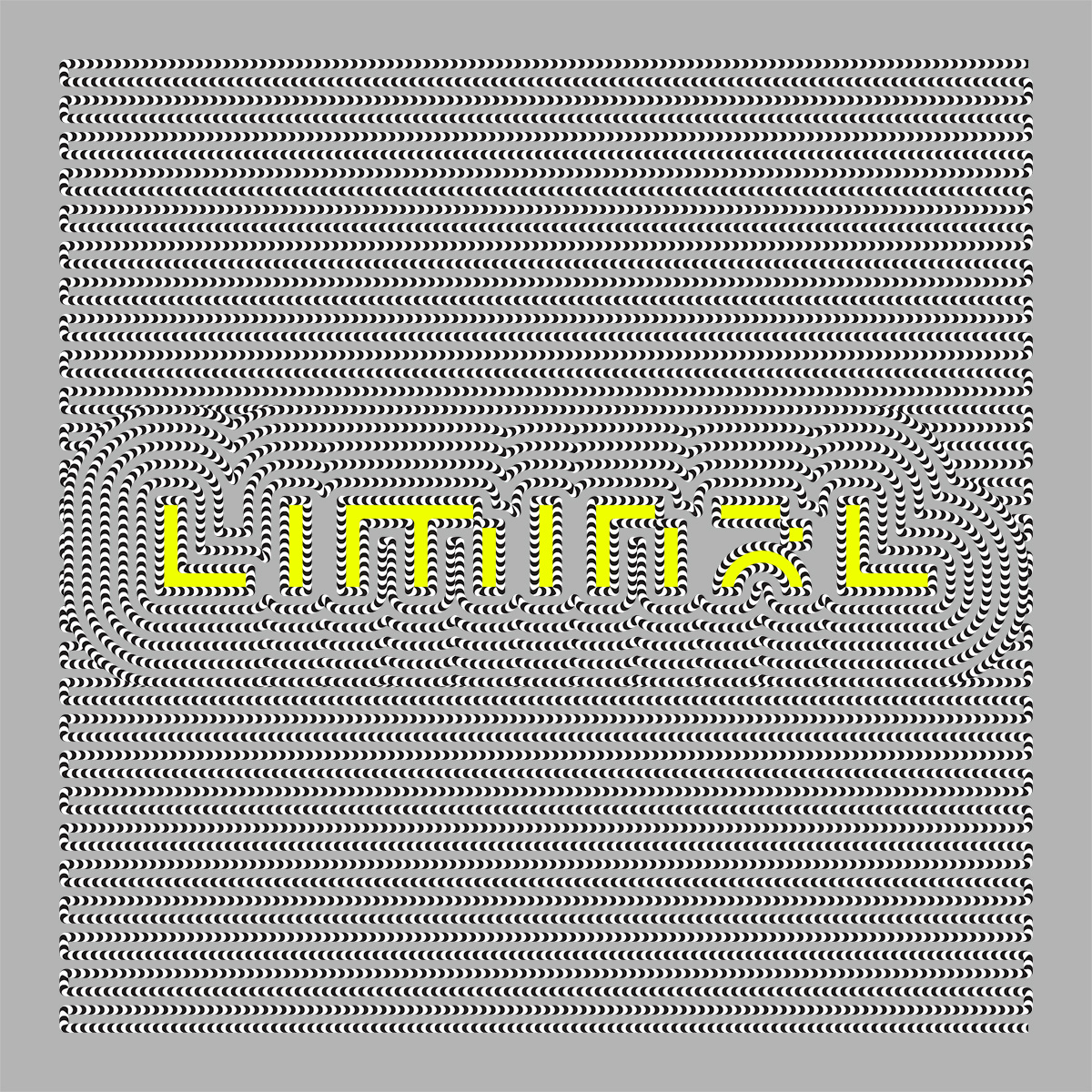 Liminal 2019 - catalinabolozan