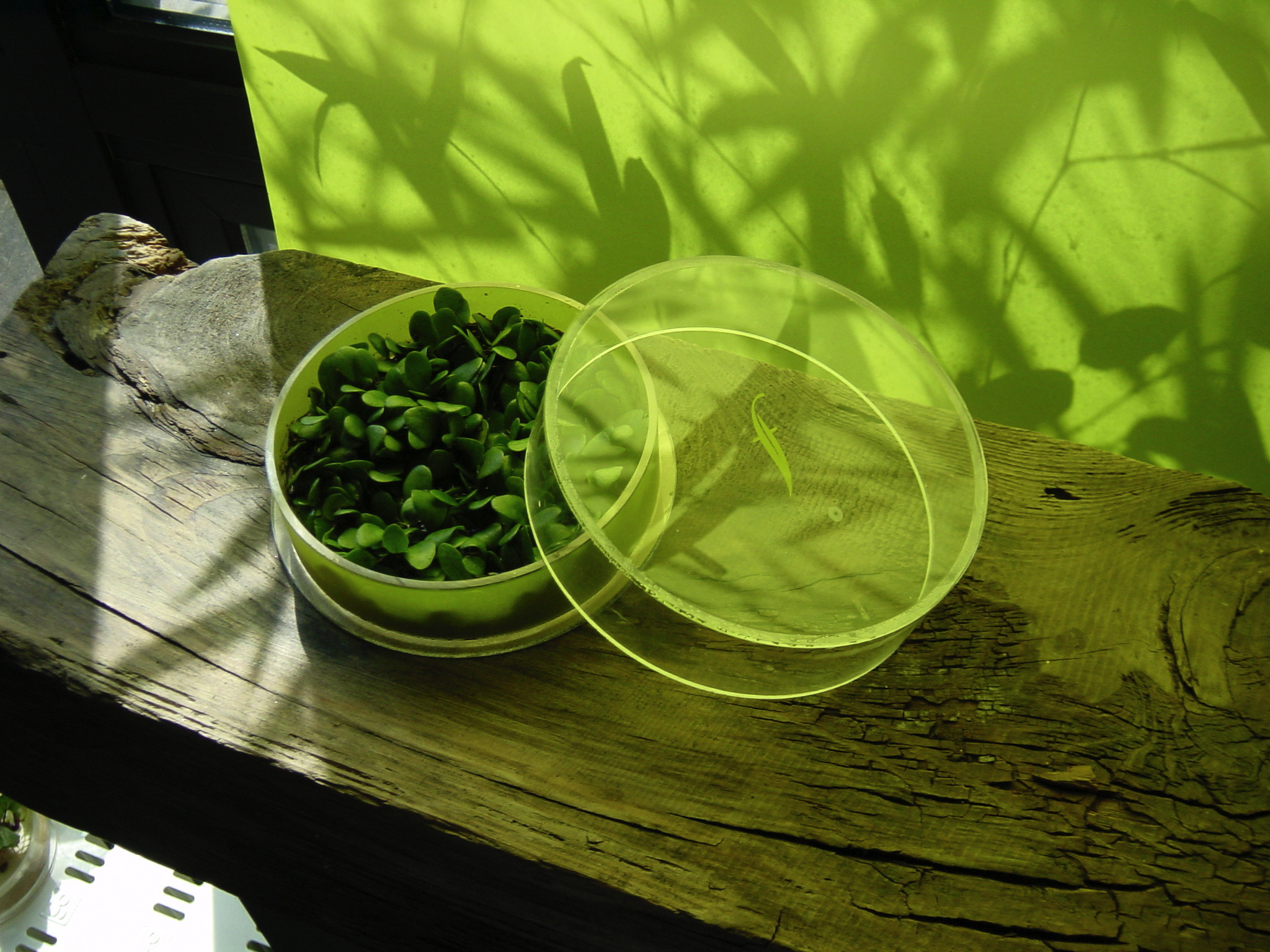 innisfree - Studio BAF