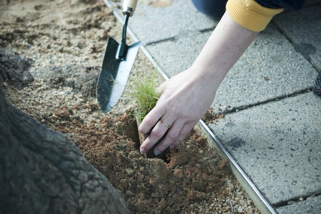 Tunnerminnerwait & Maulboyheenner - A Social Memorial - Martin White