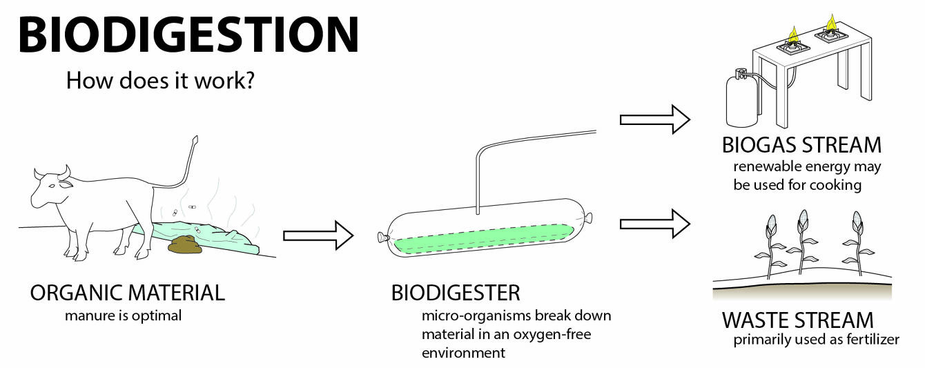 BRICOLAGE BIODIGESTER - RWC