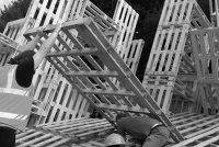 Norfolk: Models - Francesca Harding