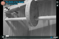 Norfolk: Models - Francesca Harding