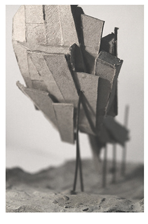 Norfolk: Models - Francesca Harding