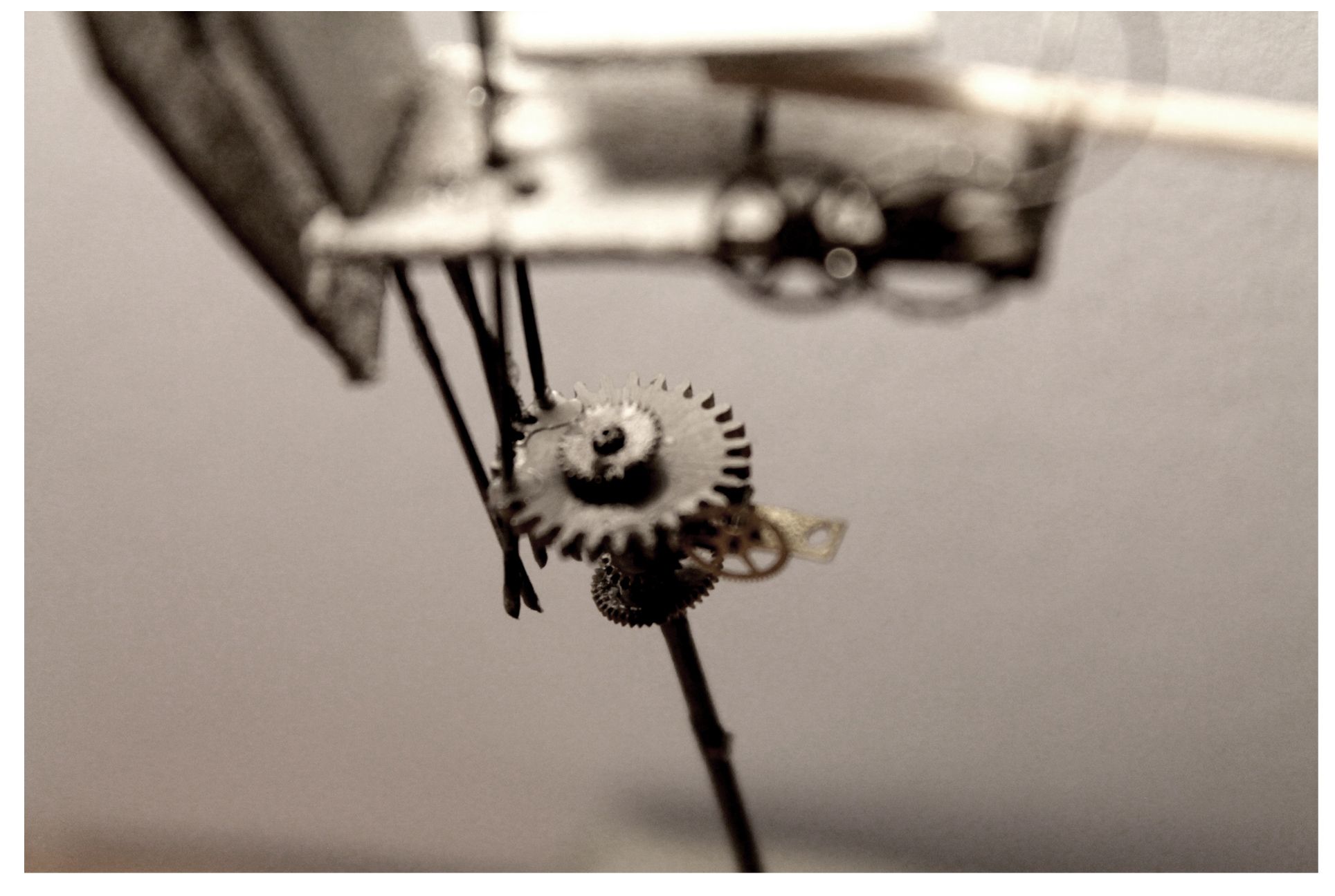 Norfolk: Models - Francesca Harding