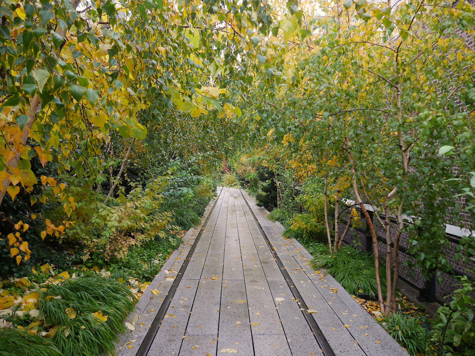 THE HIGH LINE - patrickcullina.com