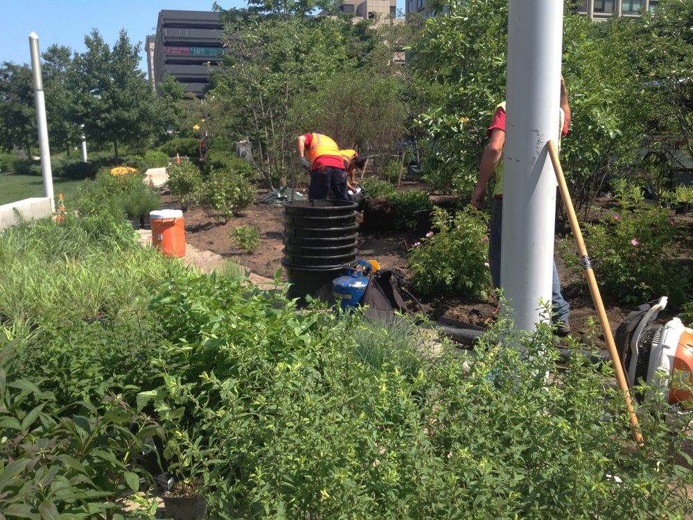 THE ROSE F. KENNEDY GREENWAY: WHARF PARCEL 17 / ROWES WHARF PLAZA ...