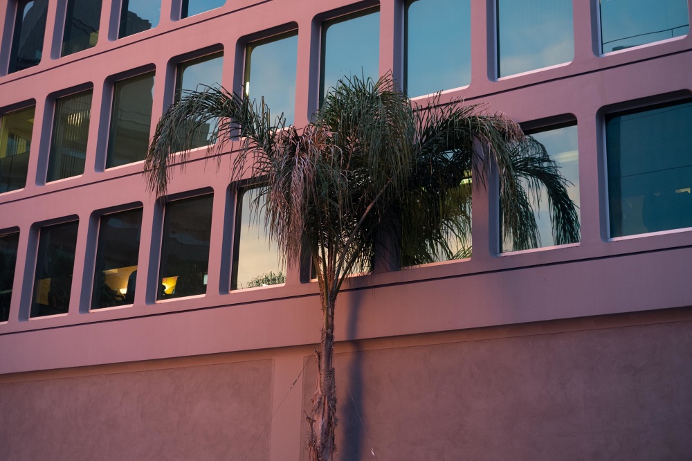 Photos - Sam Chiplin Cinematography