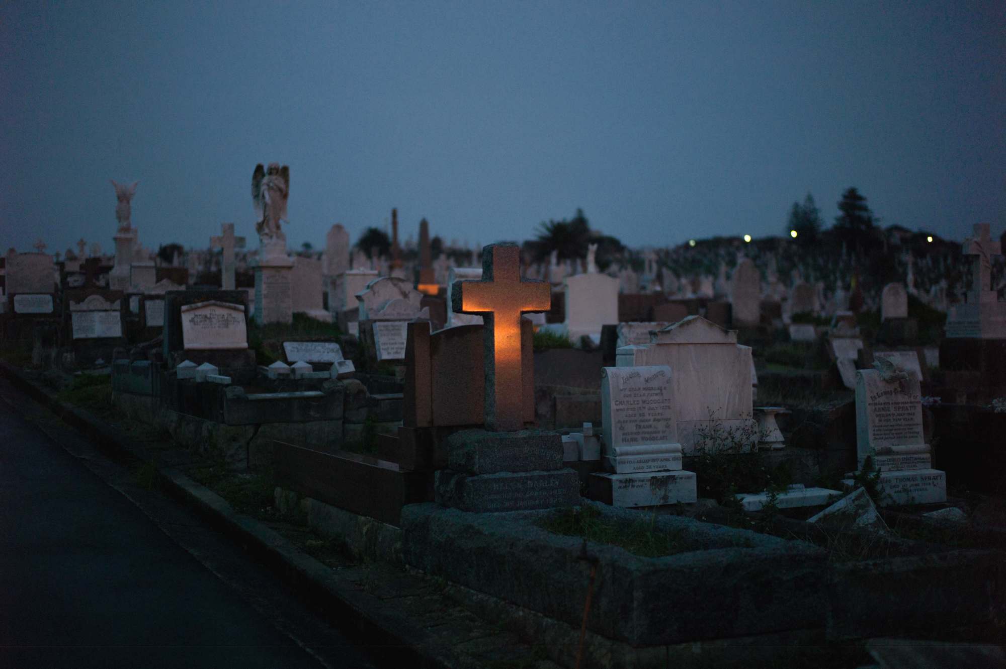 Photos - Sam Chiplin Cinematography