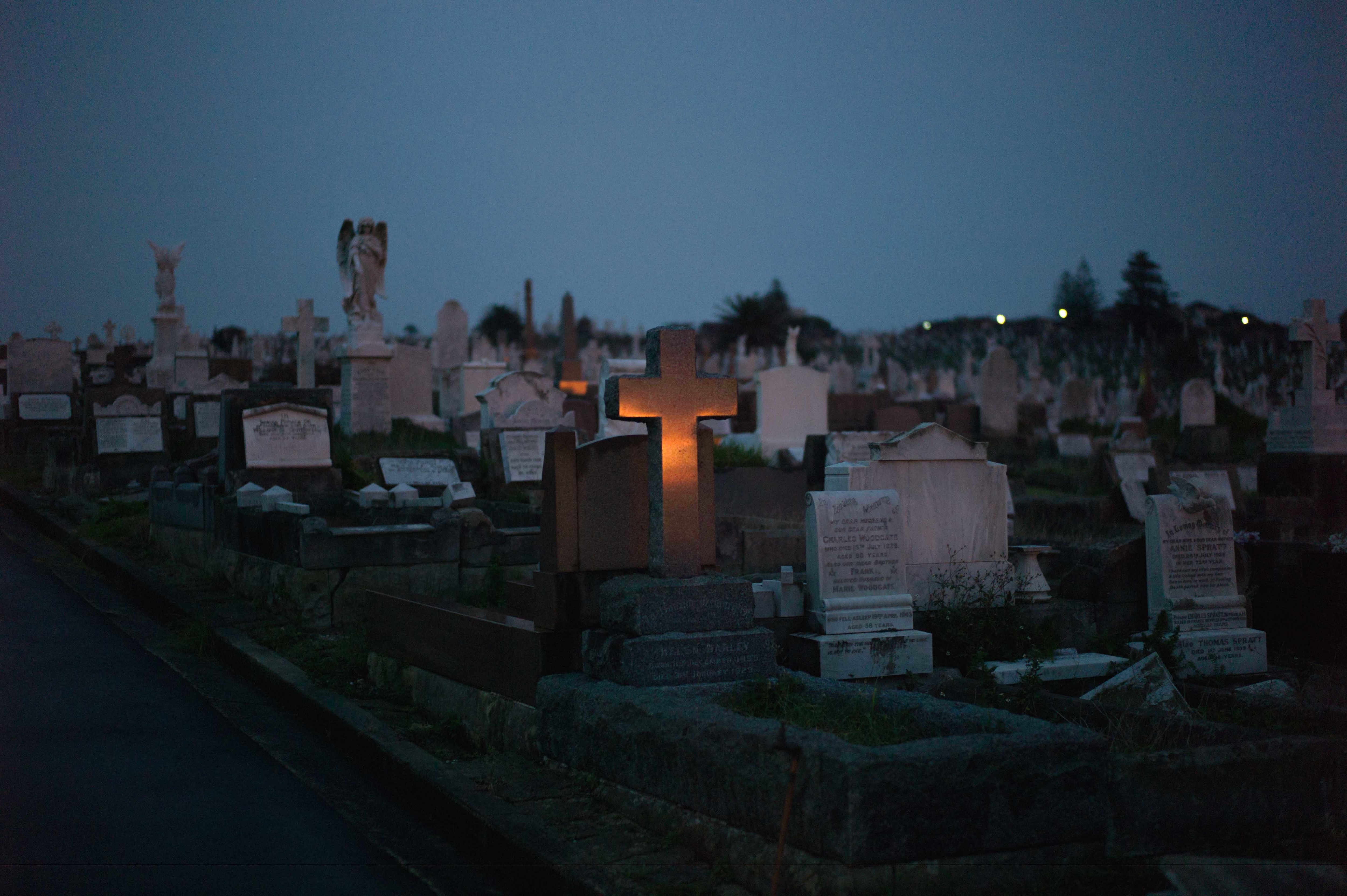 Photos - Sam Chiplin Cinematography