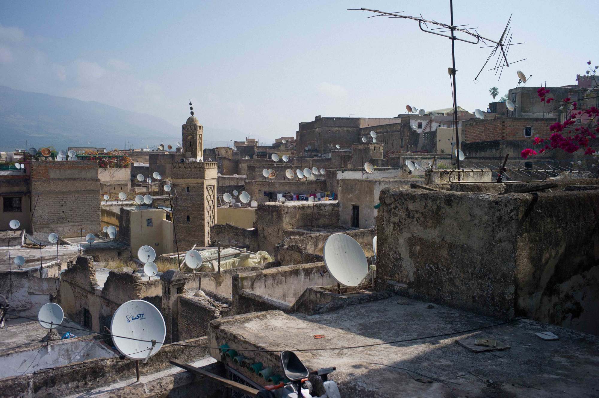 Photos - Sam Chiplin Cinematography