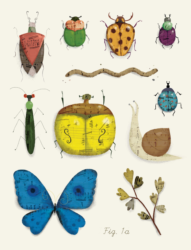 Musical Bugs - Abigoh Illustration