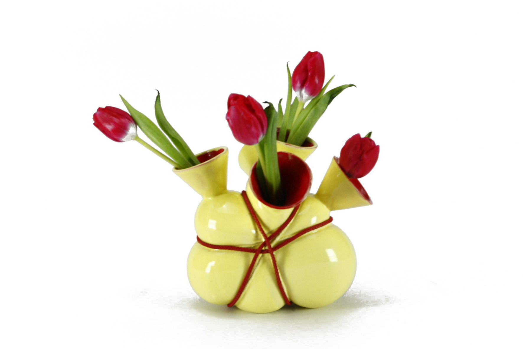 Tulip vase - Aniek Meeldijk