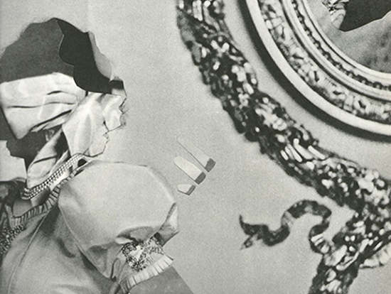 the queen - Brandy Wolfe