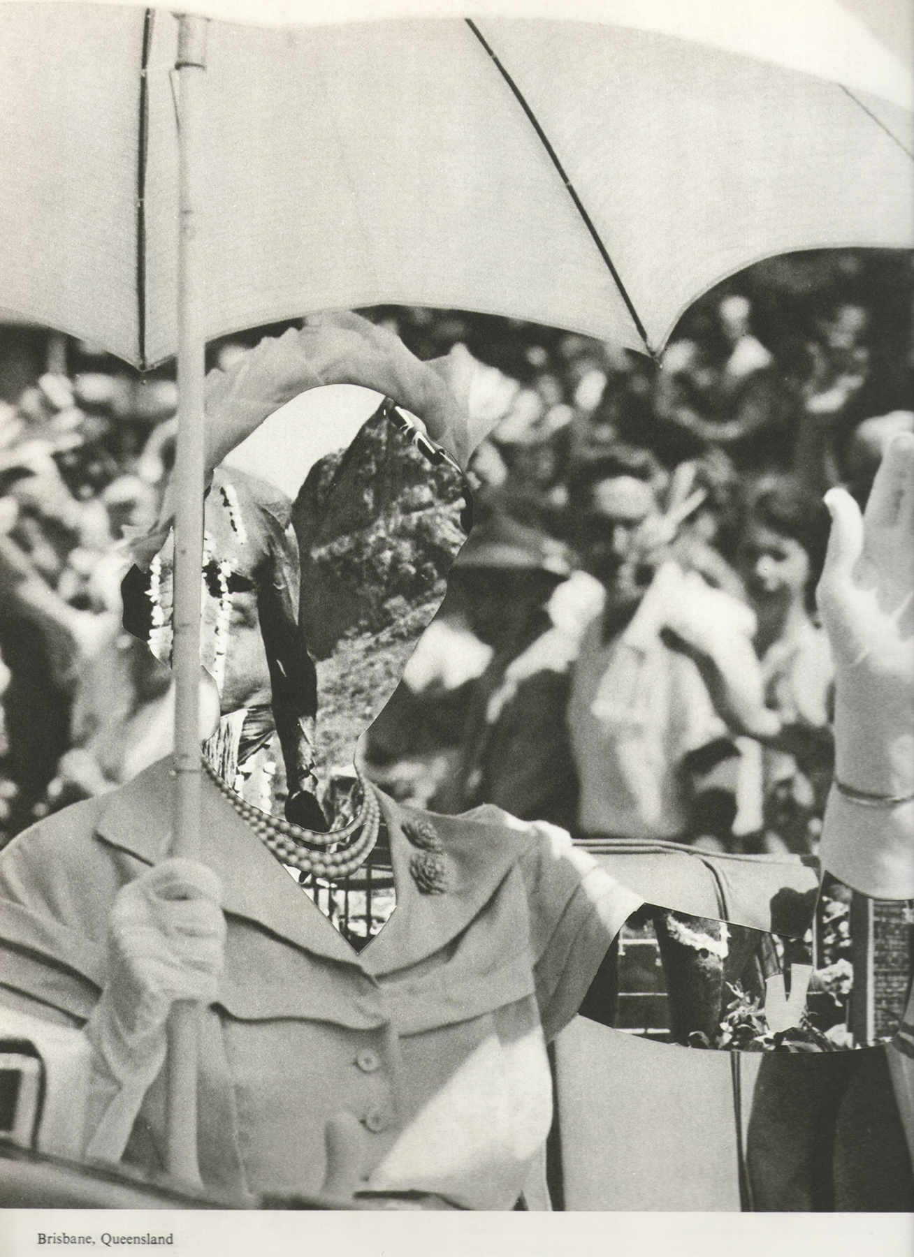 the queen - Brandy Wolfe