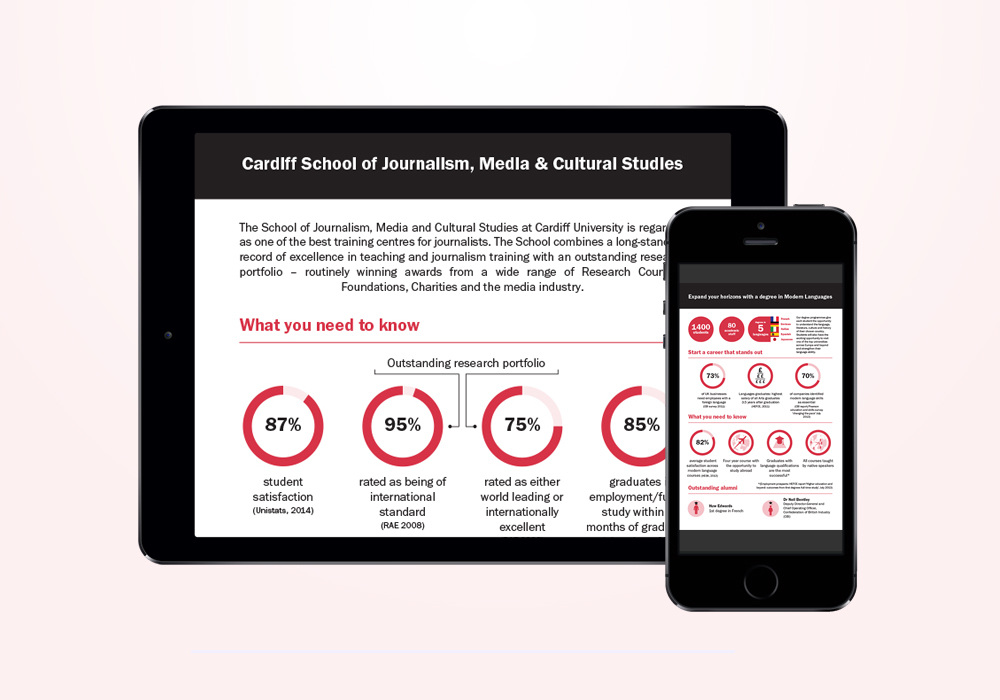 Cardiff CCI Infographics - Daleo
