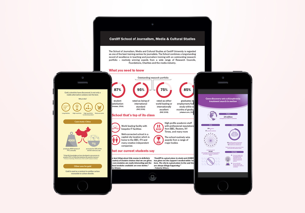 Cardiff CCI Infographics - Daleo