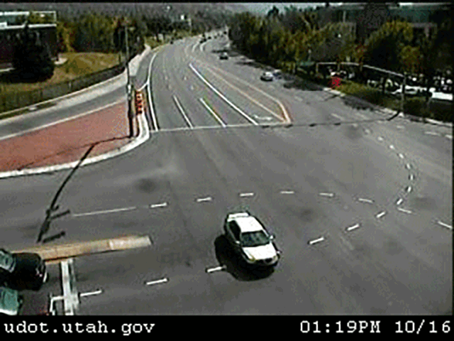 Looking // Watching - Kelly O'Neill