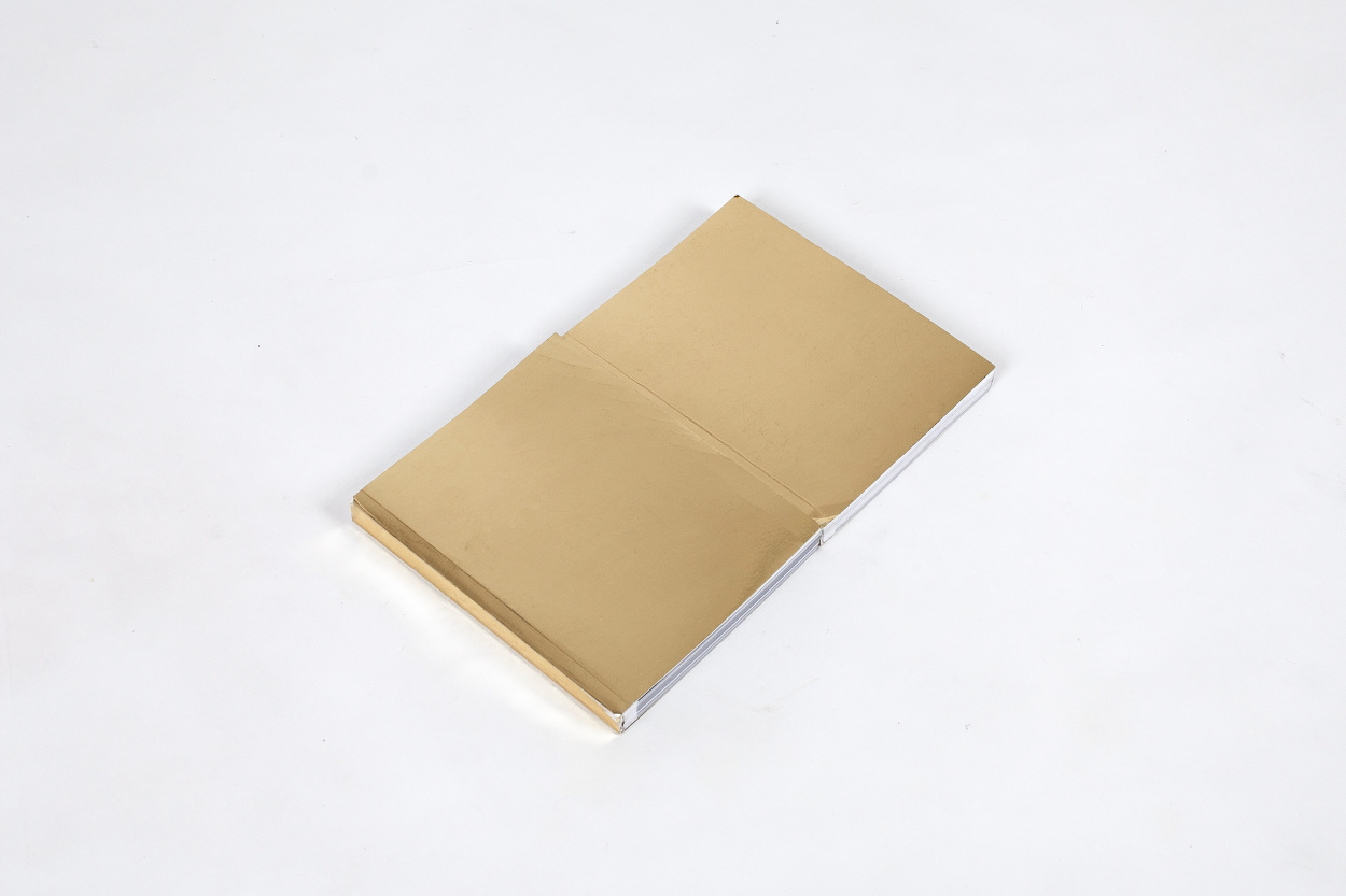 Arrogance - Design by zhanghaoting.com