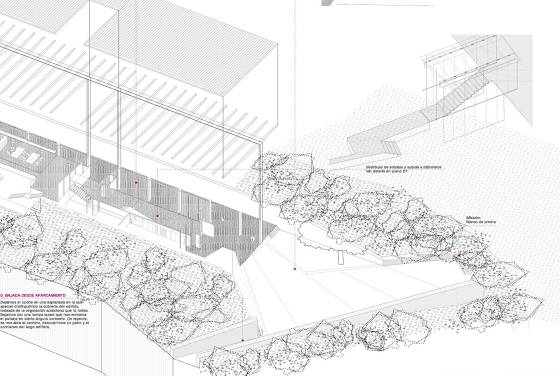 Coderch Foundation. Final Degree Project. - Cecilia Gonzalez