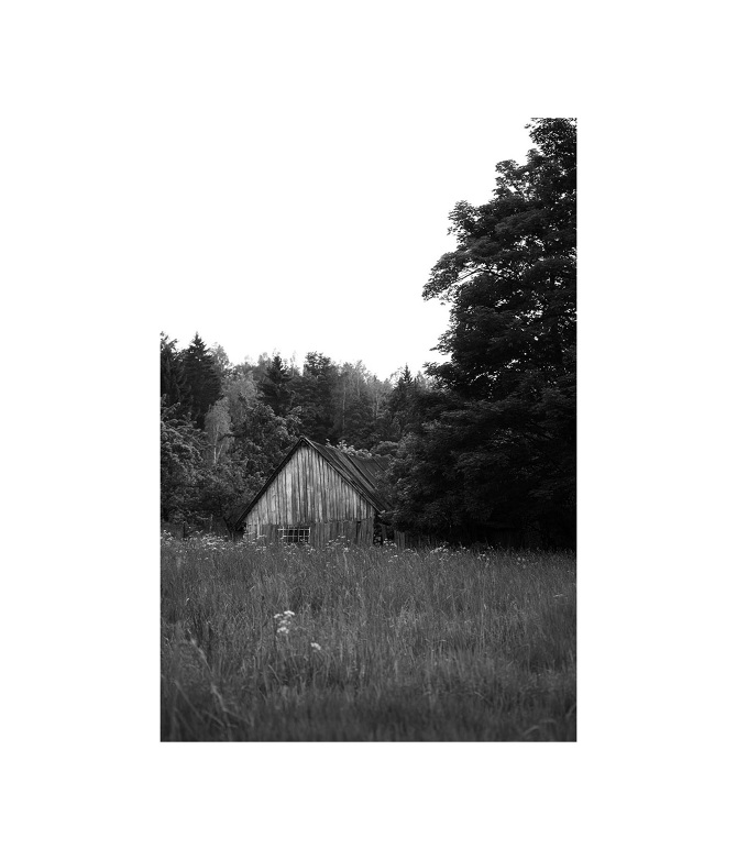 Jan Malinowski Photography