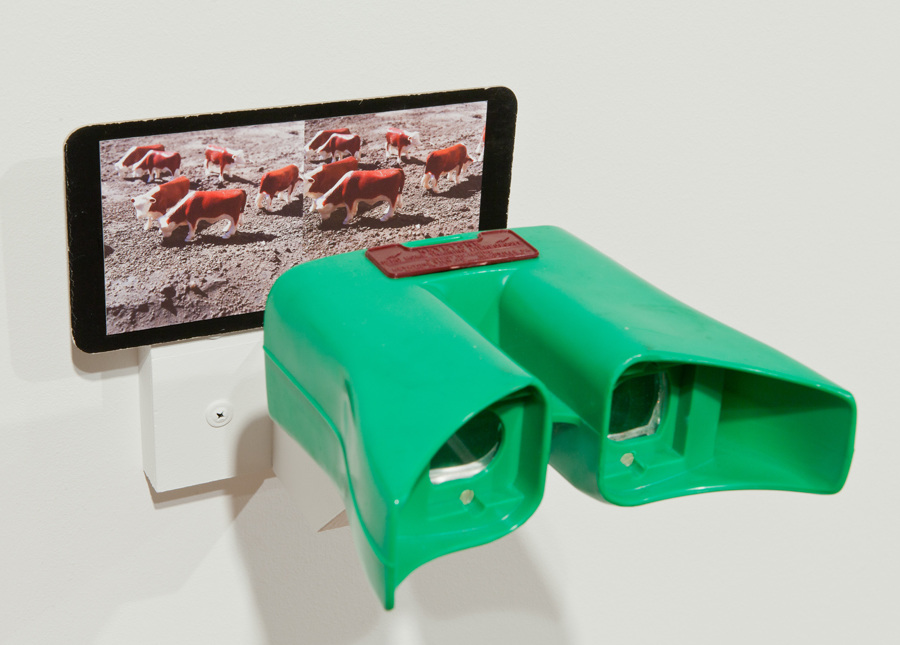 Predator Project - marialux.net