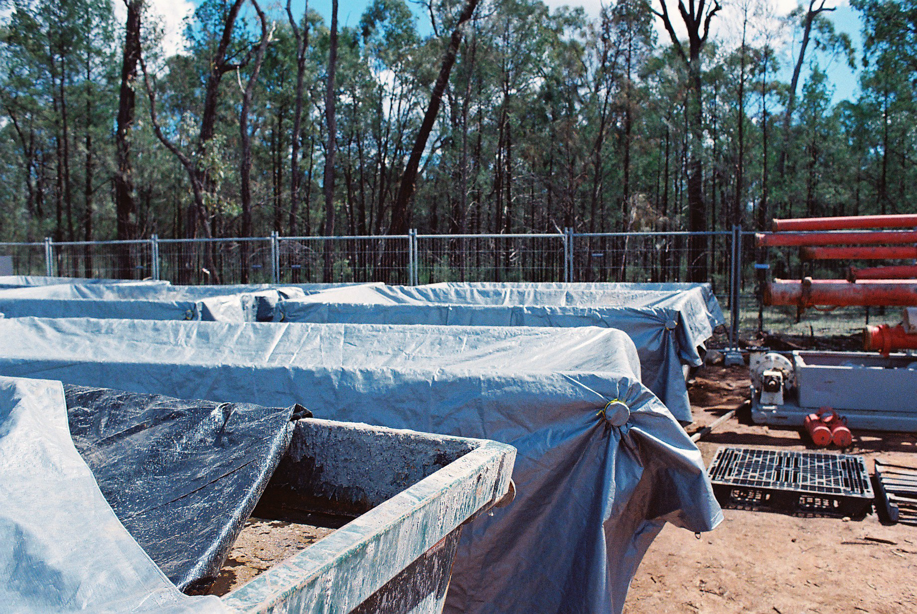 Pilliga Forest - Alex Bloom