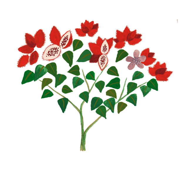 Jogo da Memória - Patricia Yamamoto