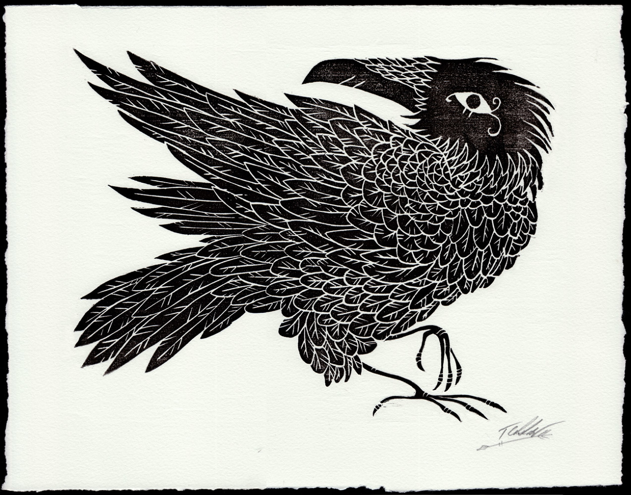 Woodcut Raven - Tom Charlesworth Illustration
