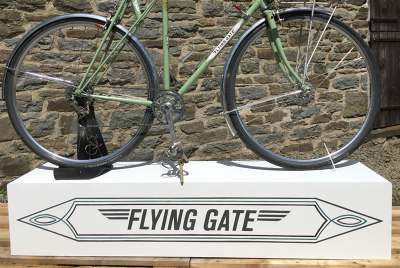 FLYING GATE - ESTHER COOPER-WOOD ILLUSTRATION