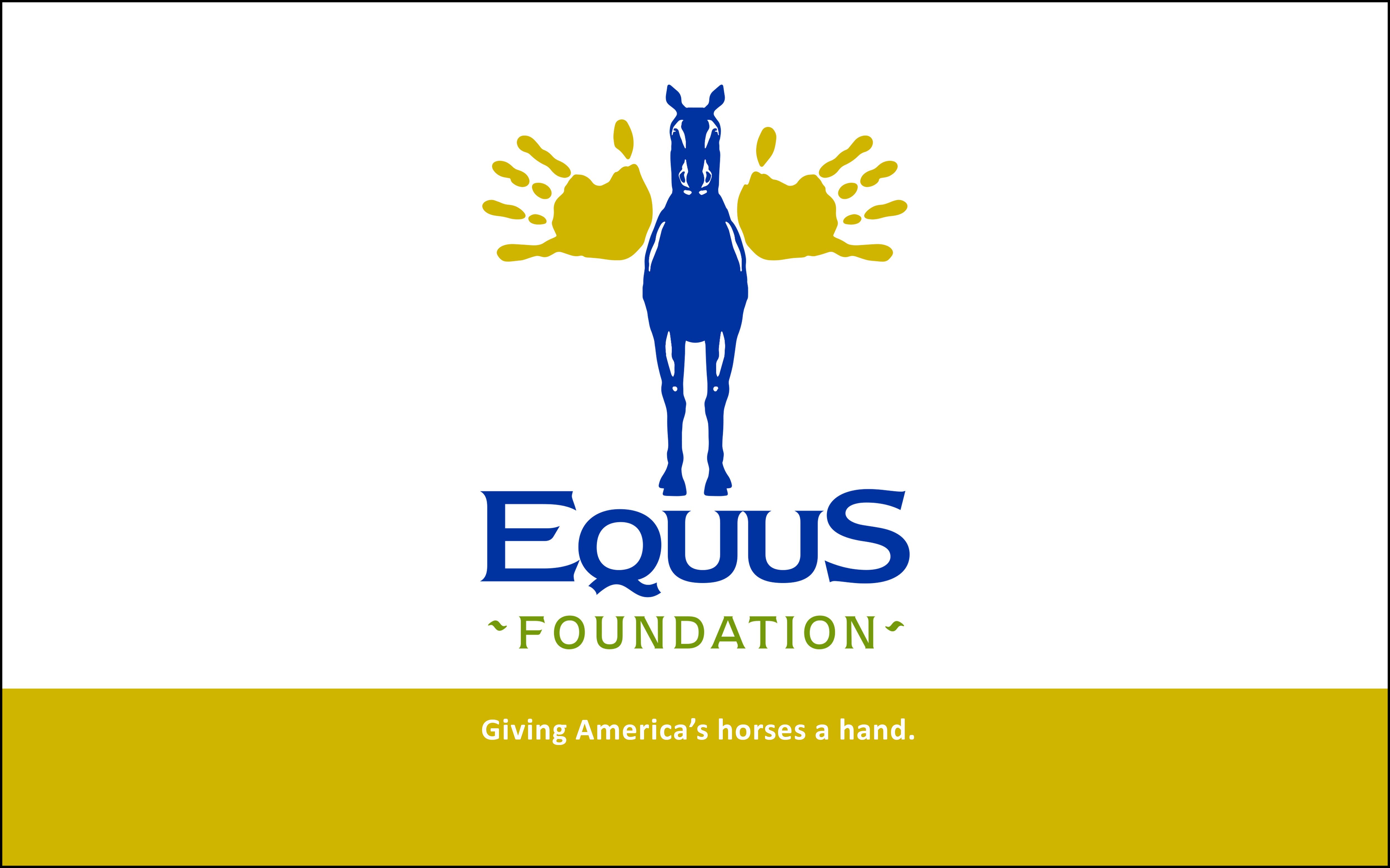 Equus | Rebrand - markmitchellcreative