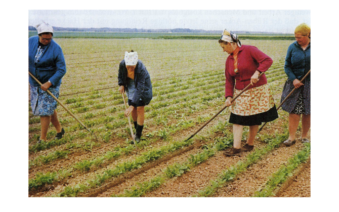 Boeren aan het werk - De Reensteen