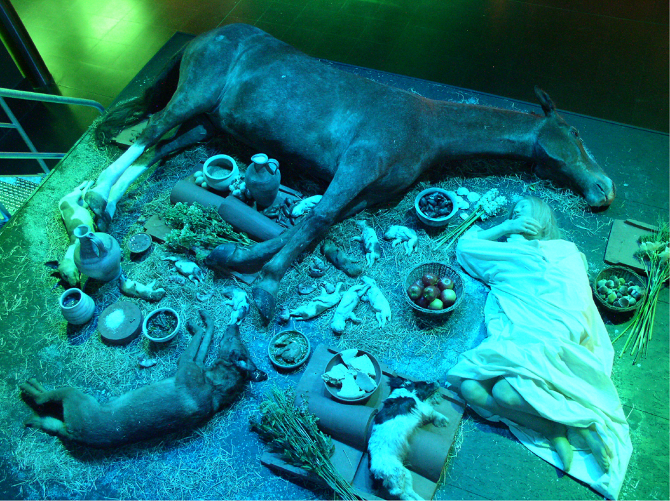 Het belang van de Gallo-Romeinse archeologische collectie van Tienen ...