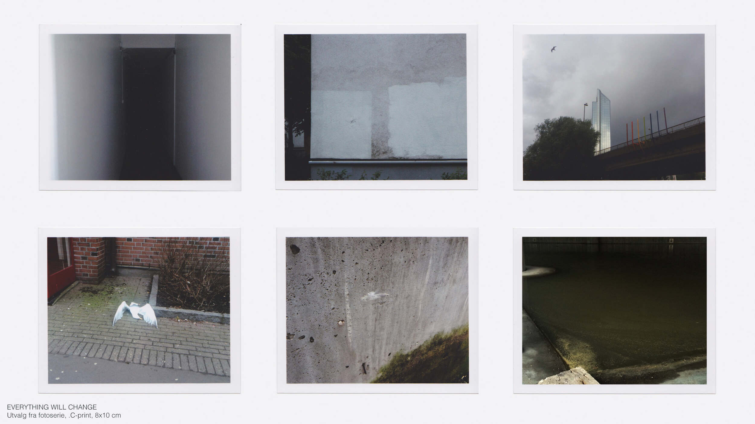 EVERYTHING WILL CHANGE - Fotogalleriet - Tonje Alice Madsen