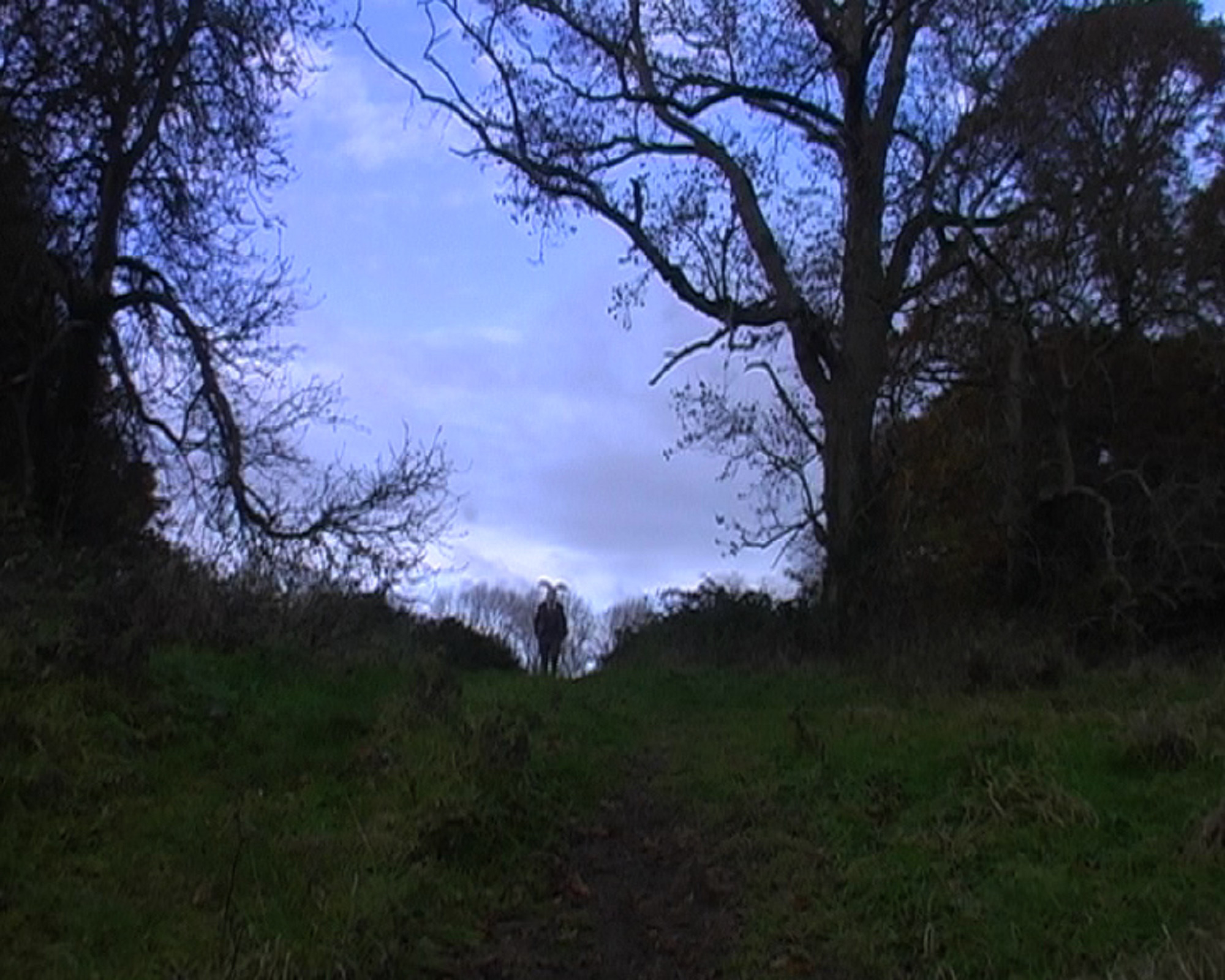 Alice down the Rabbit hole (2013) - Sinead Keogh