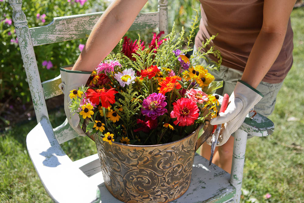 Products - Justin Nolan