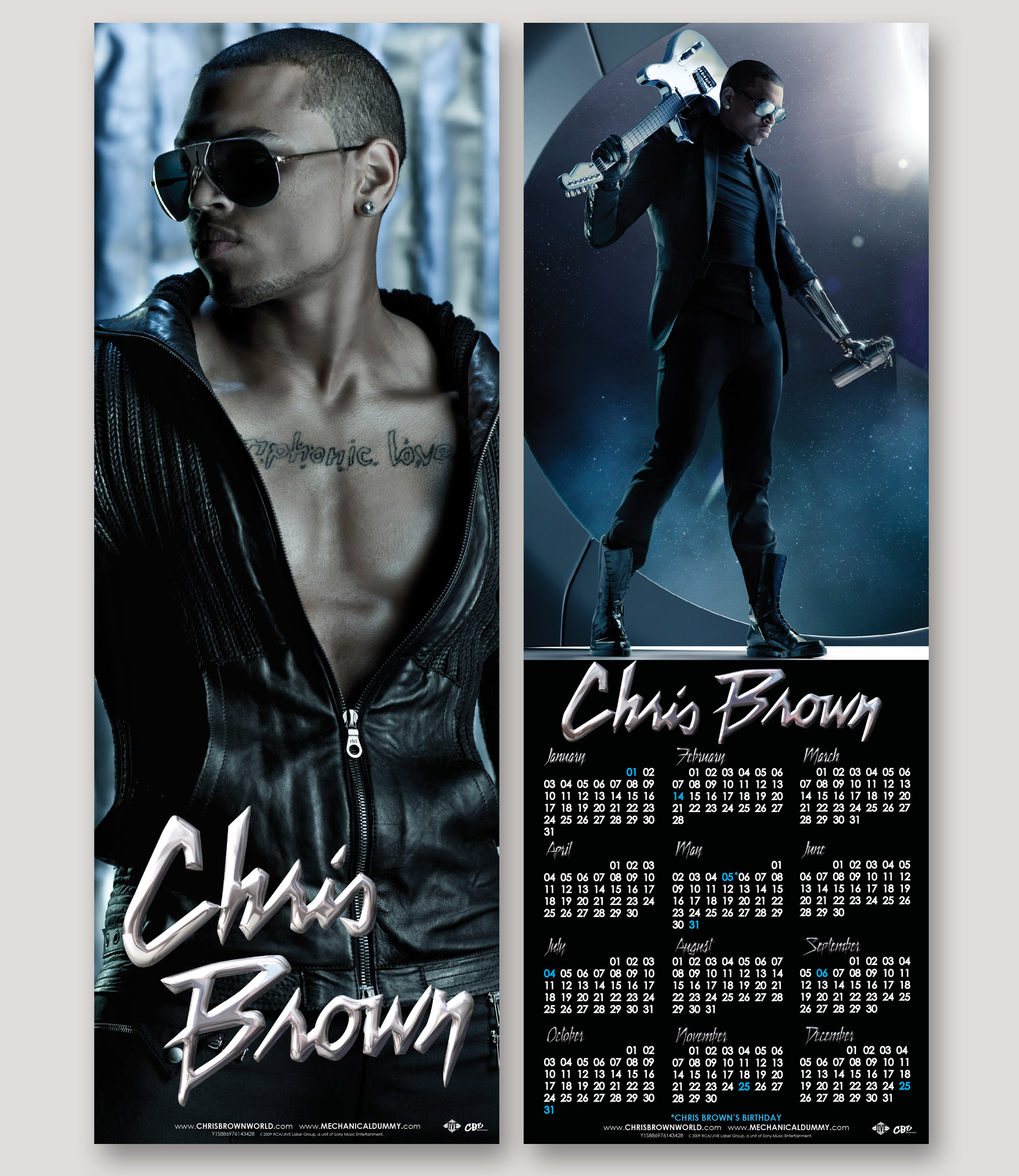 CHRIS BROWN / Graffiti - Courtney Walter