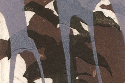 Gardens - Elise Auger