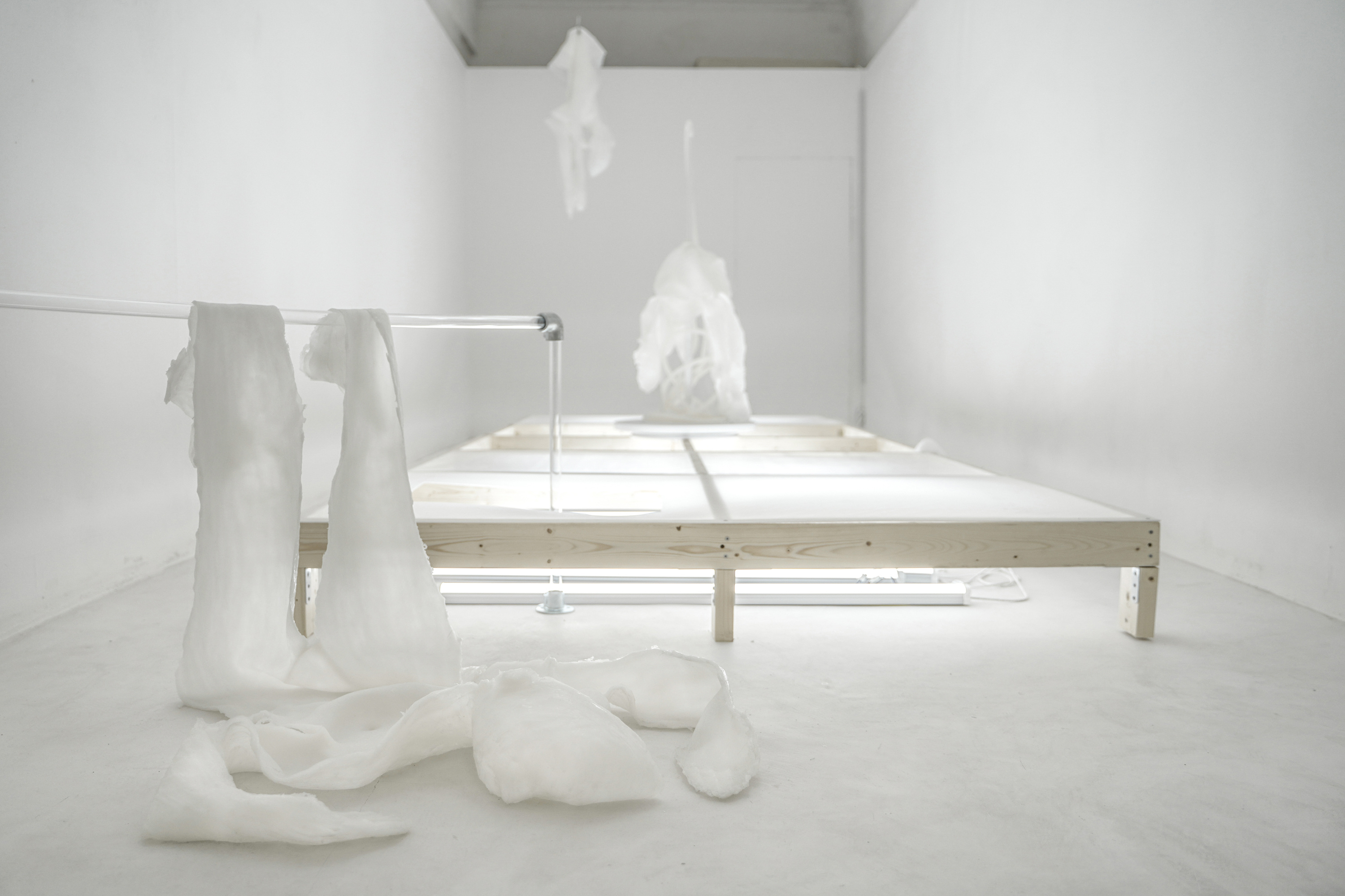 HBP#1 - Prelude of the White Shadow - Taeeun Ahn