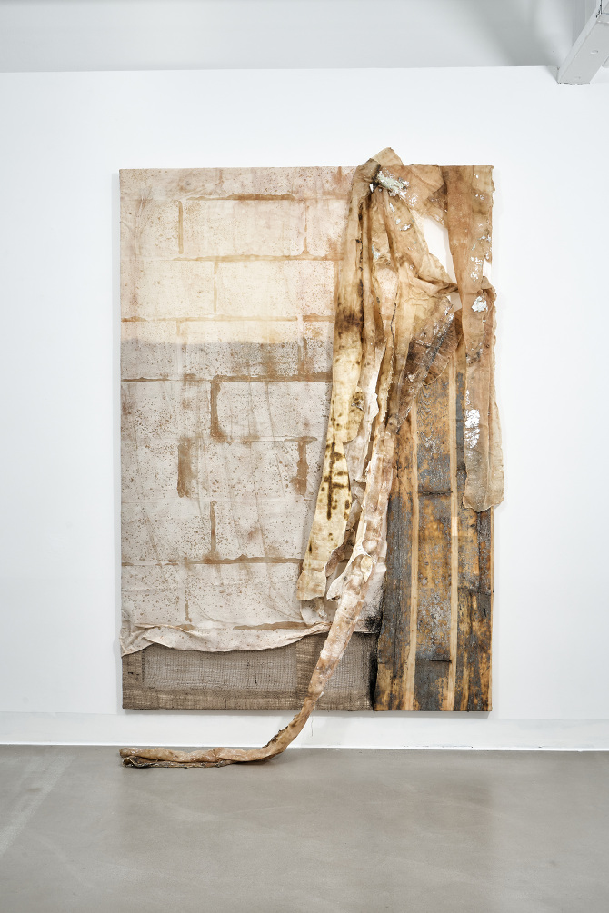 Skin Morphosis - Taeeun Ahn