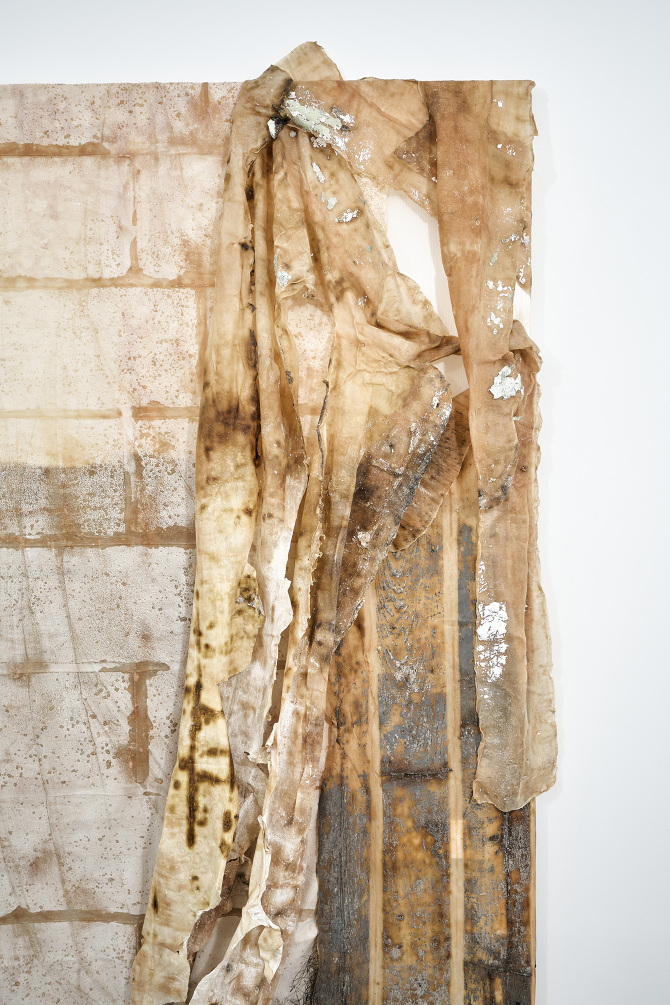 Skin Morphosis - Taeeun Ahn