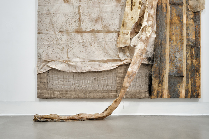 Skin Morphosis - Taeeun Ahn