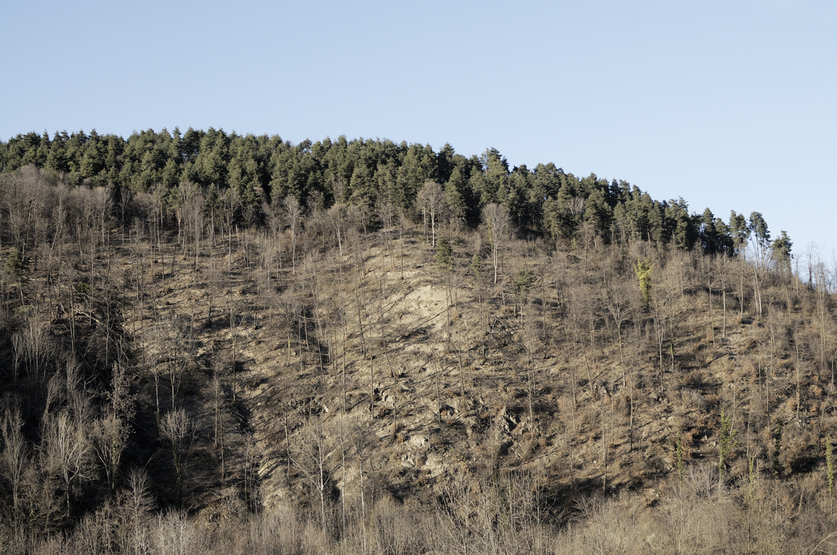 Disappeared - Luca Prestia