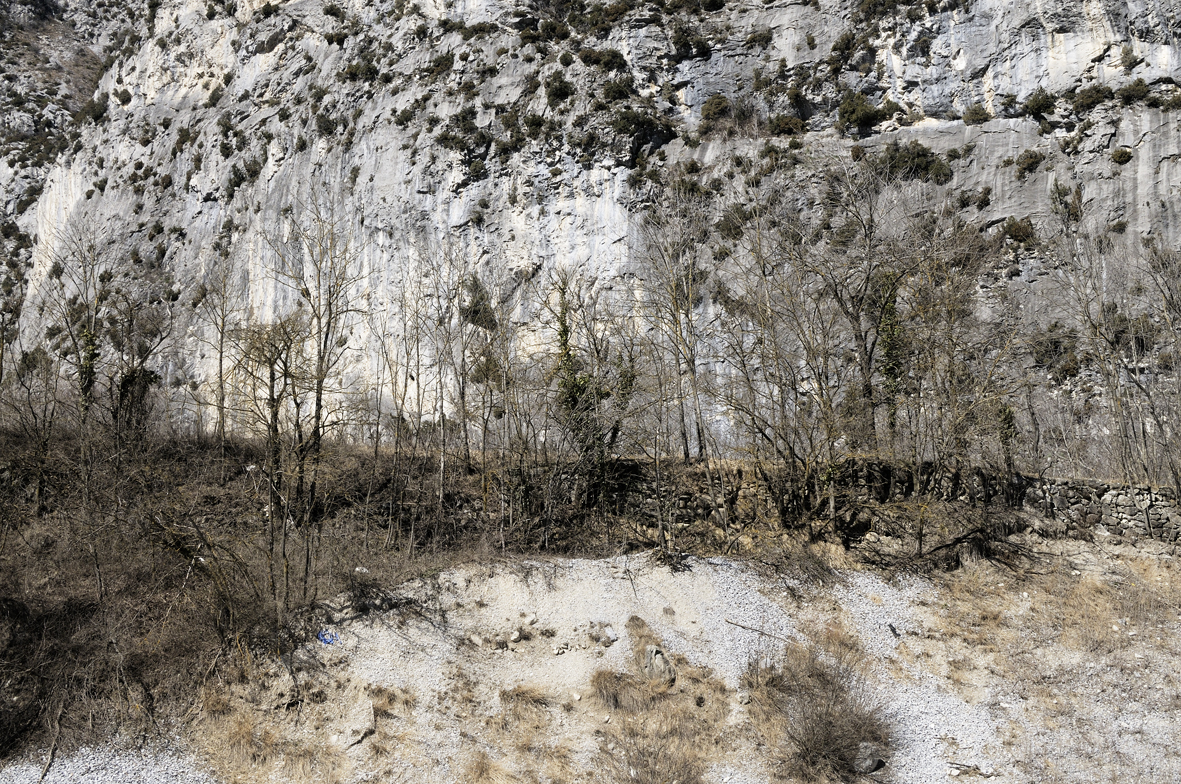 Disappeared - Luca Prestia