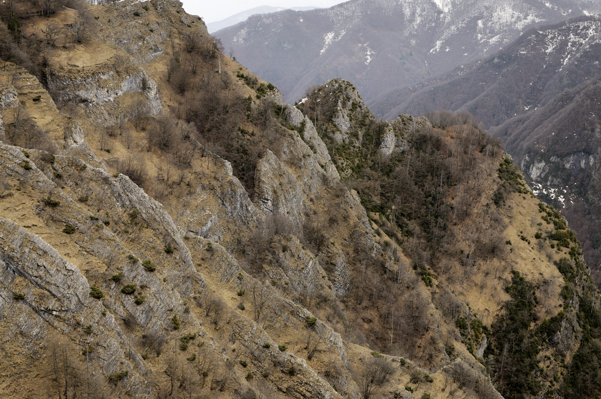 Disappeared - Luca Prestia